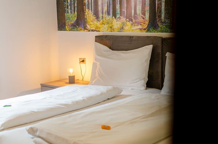 Dolomites Room Doppia - Vigo di Fassa