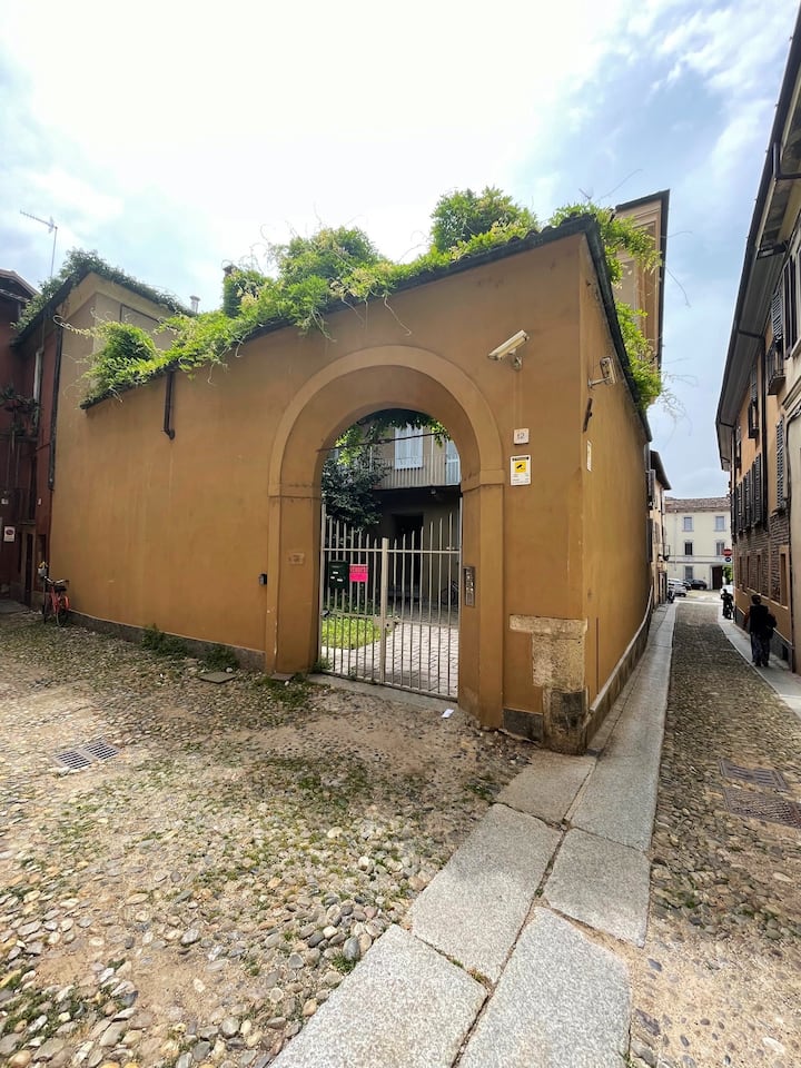 Eleganza, Pavia - Pavia