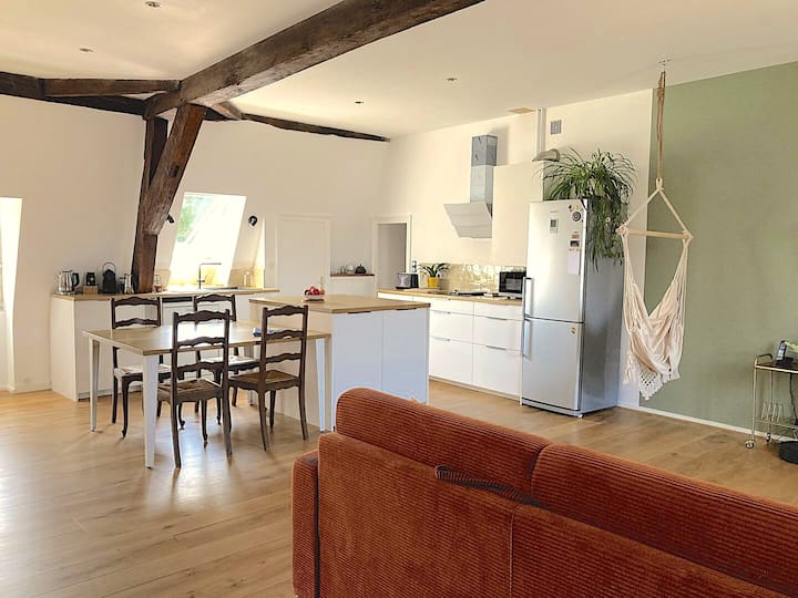 Grand Appartement Au Cœur De Dijon - Dijon