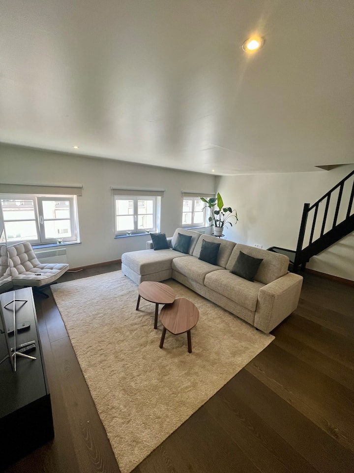 Stilias Apartment 6p City Center - Schaerbeek