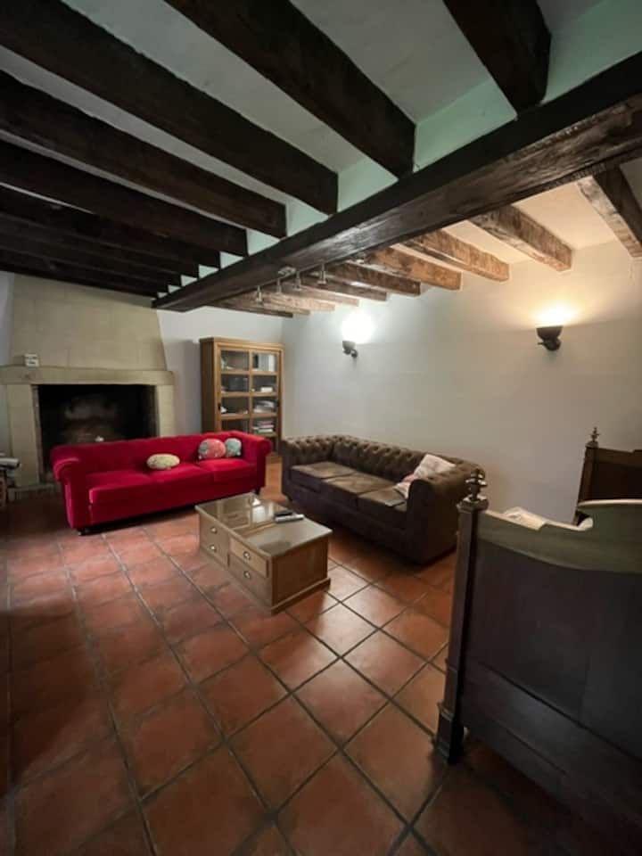 Maison En Milieu Forestier - Langeais