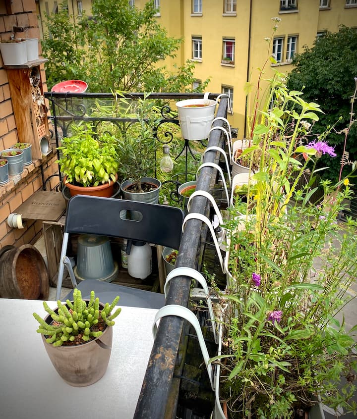 Zentrale Stadtwohnung Mit Parkplatz - Zurich