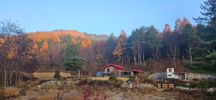 통나무집 별장 체험 (독채) - 홍천군