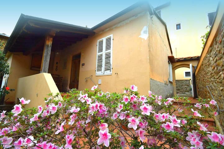 Santa Barbara - Scarlino