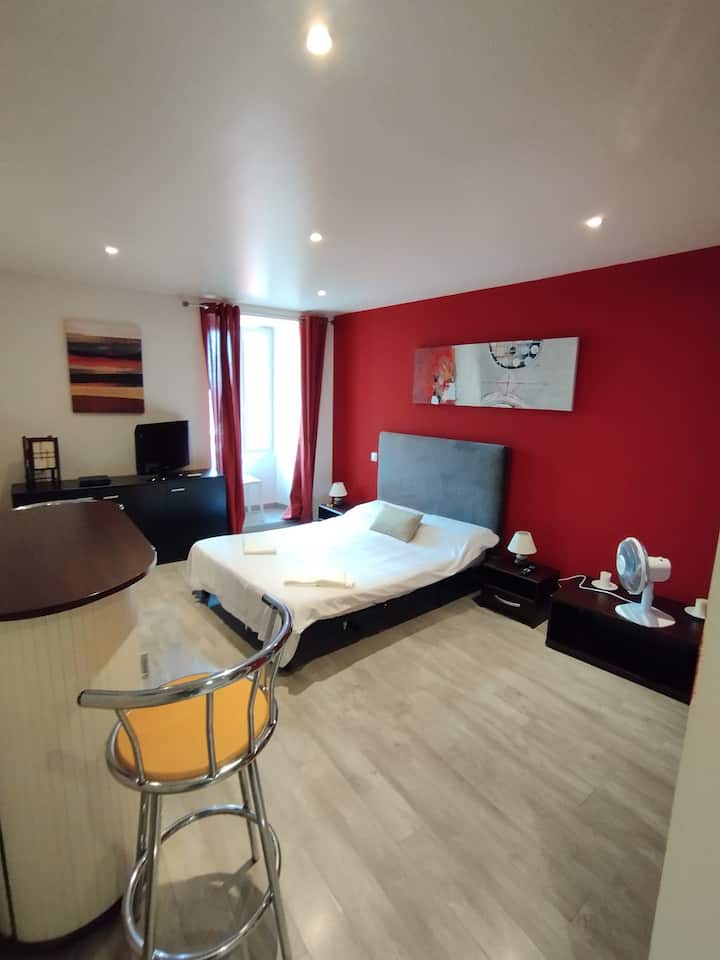 Studio Confort Center - Évian-les-Bains