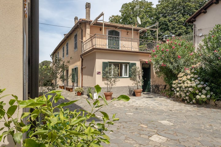 Oasi Tranquilla Palazzo Dasso - Viterbo