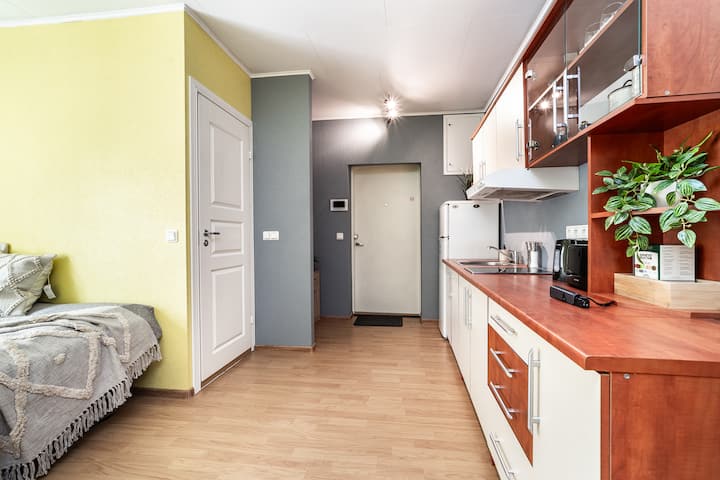 Peaceful Studio With Desk & Free Parking - Tallinn