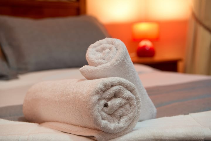 Hotel Camino Internacional 1510 - Pucón