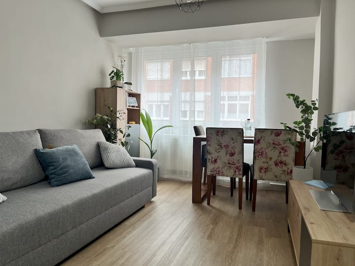 Renovated, Modern. Close To Train And Bus Station. - Oviedo