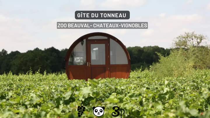 Cocon Dans Les Vignes - Cheverny