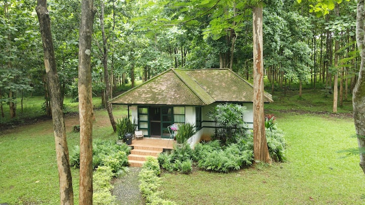Baan Korbsuk Teak Cabin 2 | Home In Private Forest - Chiang Mai