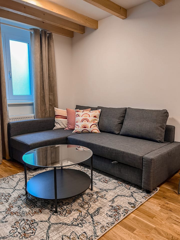 A/c - Excellent Location Close To City Center (2) - Viena