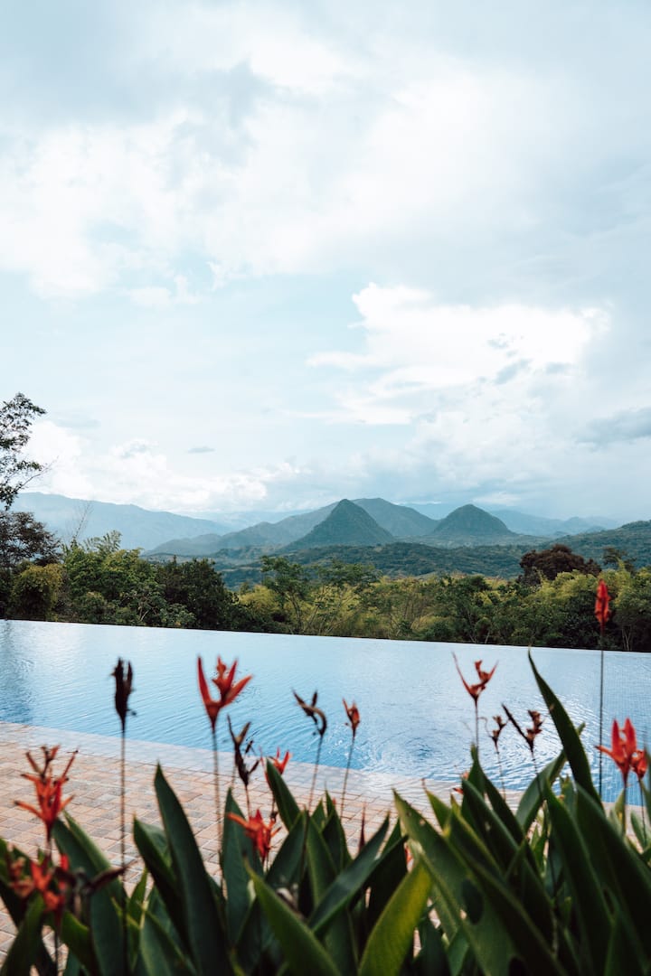 Finca Cuatrogatos 
(Támesis, Antioquia) - La Pintada