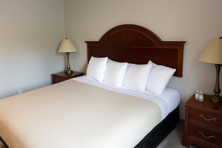 Raceway Inn Darlington With King Size Bed, Wifi - Darlington, SC