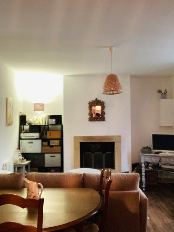 Charmant Appartement Ancien En Face Du Château - Blois
