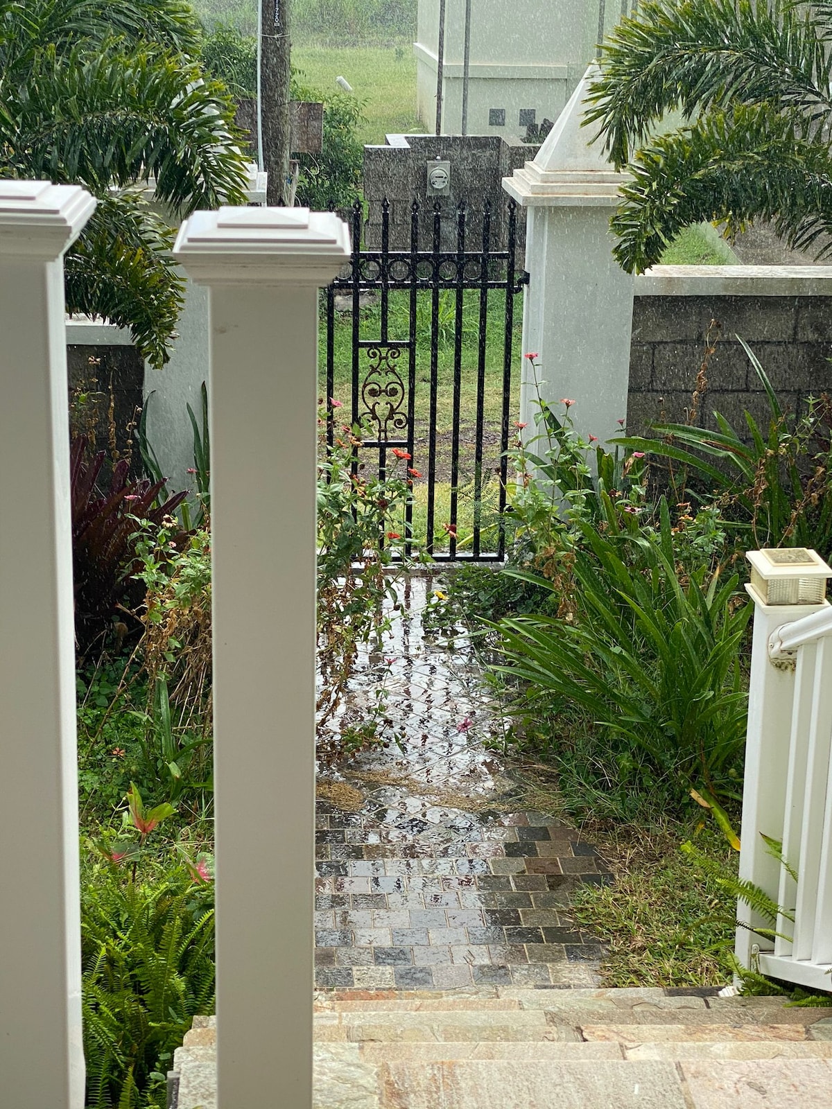 Tropisches Palmenhäuschen - Wohnungen zur Miete in Monkey Hill, Saint ...