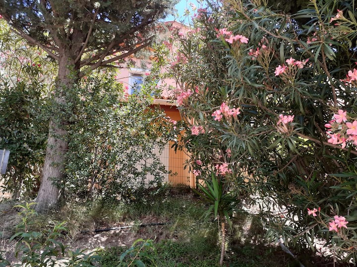 Bel Appartement T2 - Banyuls-sur-Mer