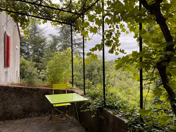 La Maison Dans La Forêt! - Valleraugue