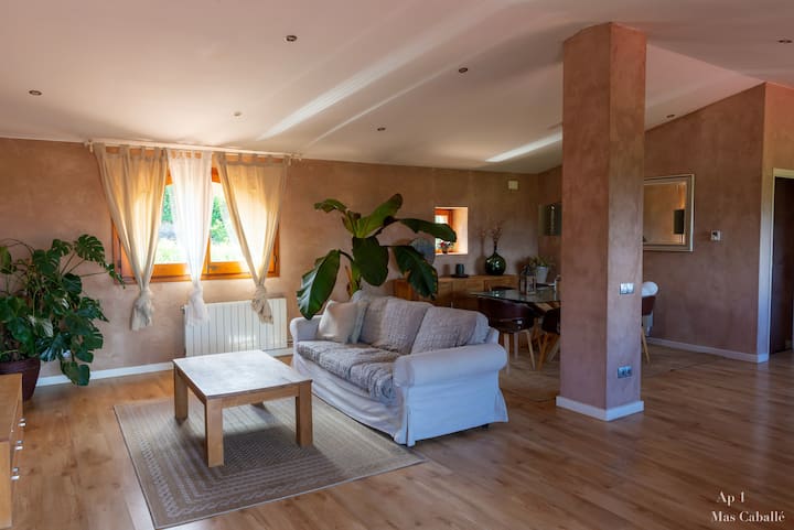 Mas Caballé Luxury1 Lujoso Apartamento En Pedrinyà - Catalogne