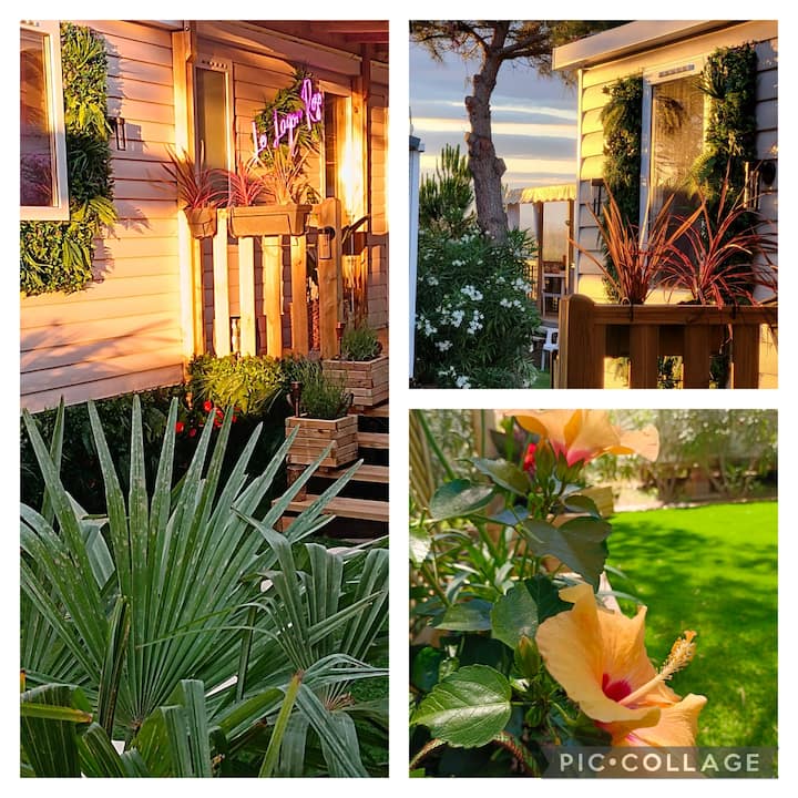 Joli Bungalow Le Lagon Rose à 5 Mn De La Plage - Canet-en-Roussillon