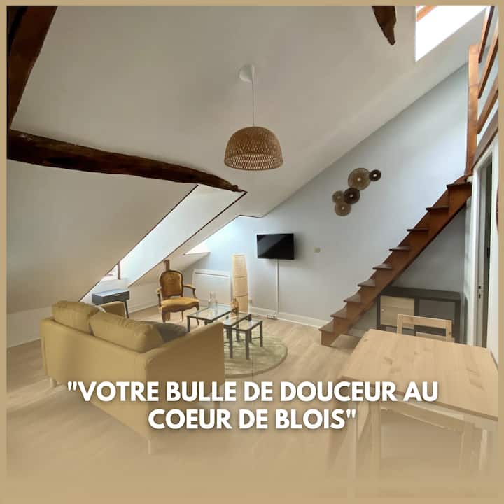 Le Cocon - Appartement En Hyper Centre - Blois