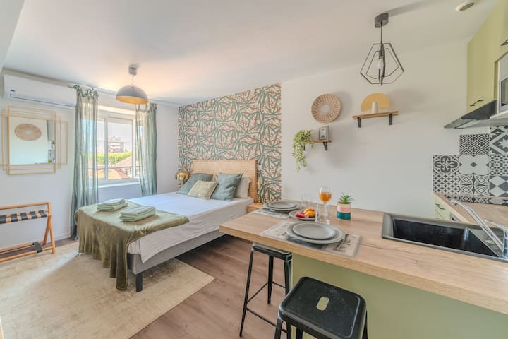 Hortensia Parking & Clim - Roanne Centre-ville - Ibis Budget Roanne Hôtel