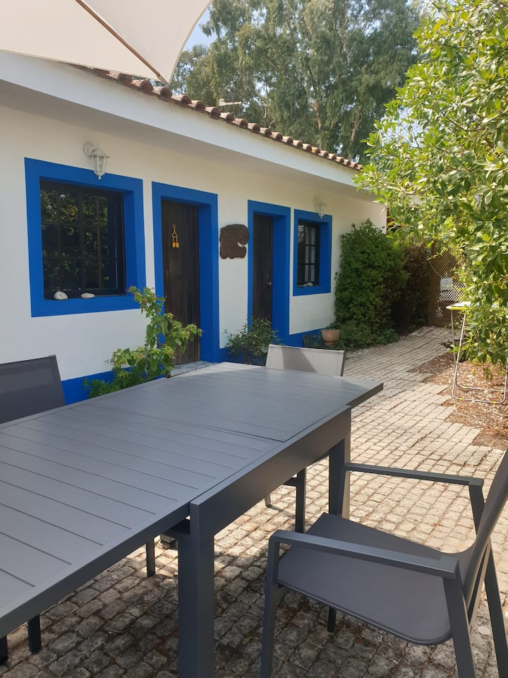 Cedrus - Costa da Caparica