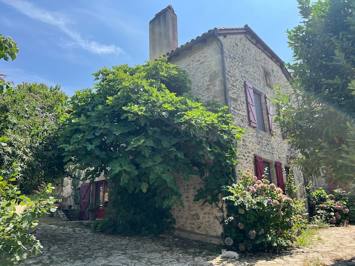 Maison Quercynoise Avec Terrasse Et Jardin - Lot