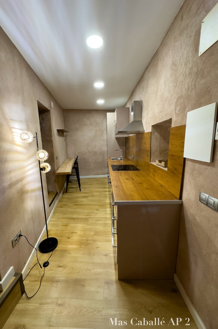 Mas Caballé Luxury2 Lujoso Apartamento En Pedrinyà - Besalú