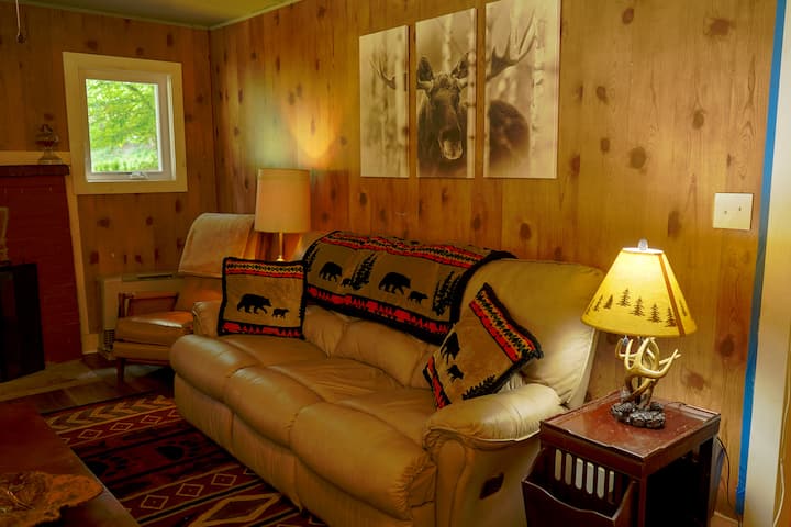 The Retreat: 3 Br Cottage Near Main St - Old Forge, NY