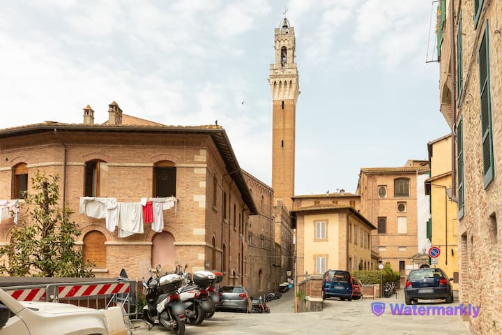 Dietro La Torre Del Mangia. - Siena