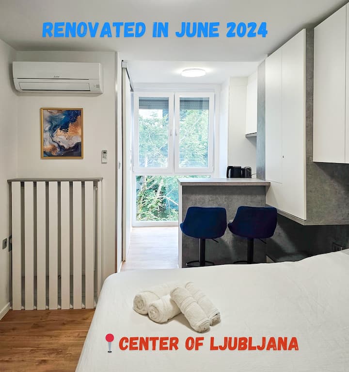 Top - 400m From Main Square! - Free Parking - Liubliana