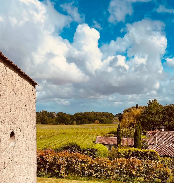 Moment Paisible Au Gite D’arlette - Libourne