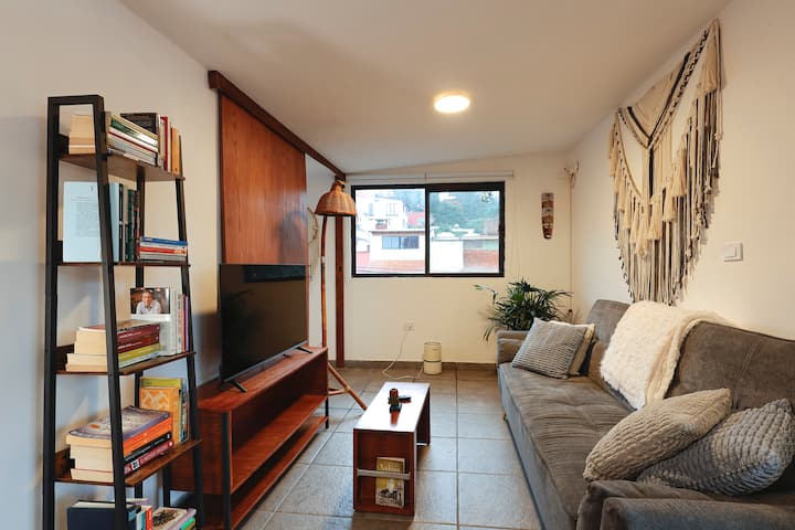 Apt 3 En Casa Llibre: Confort, Libros Y Estilo - Xalapa