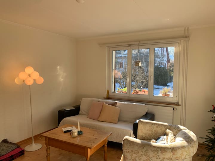 Entire House With Parking, 100m To Aare River - Berne