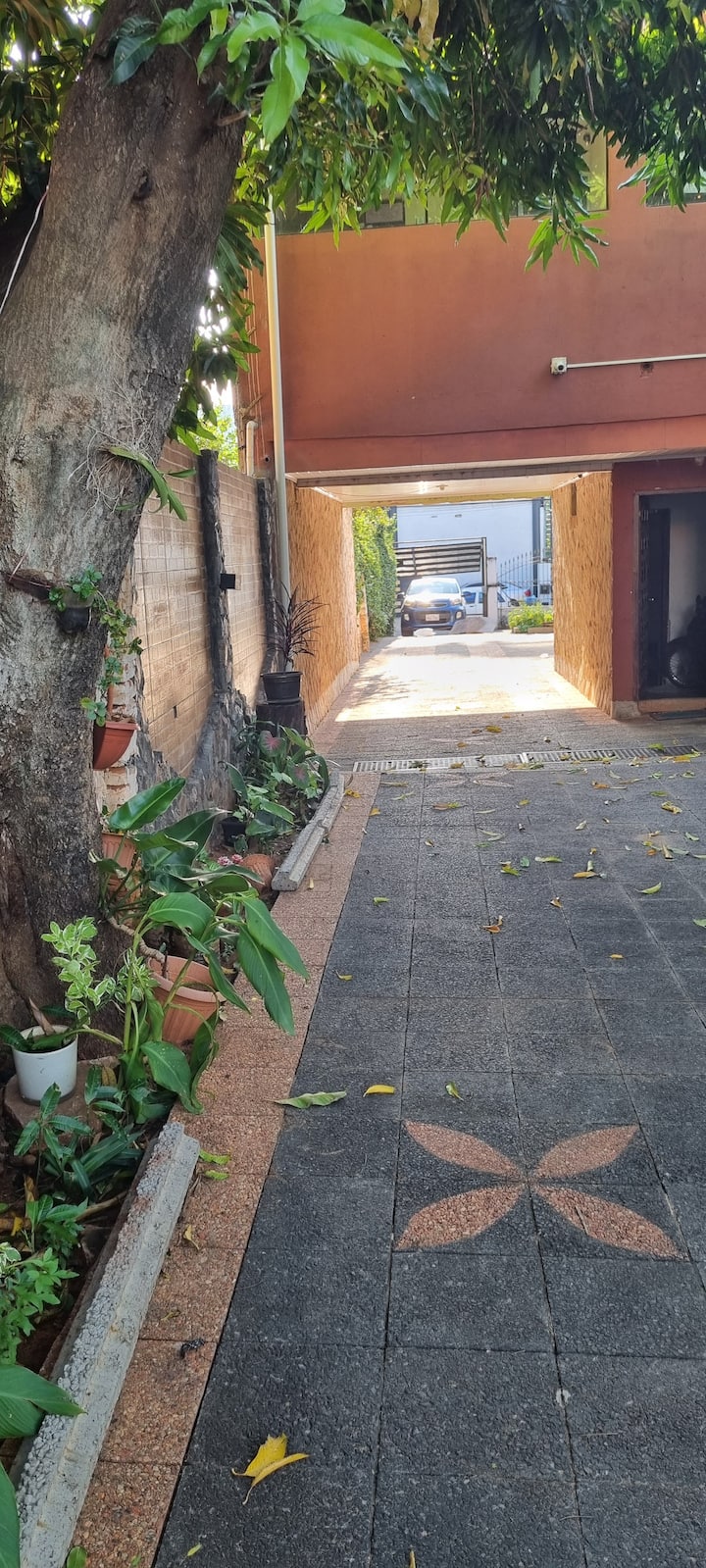 Tranquilidad En La Ciudad - Paraguay