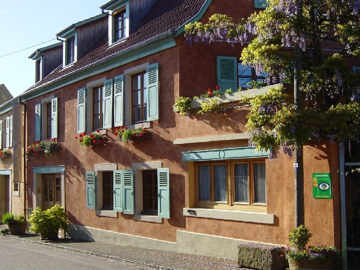 La Maison Des Amis - Riquewihr