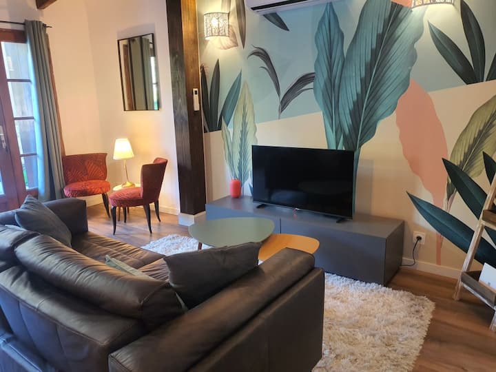 Magnifique Mas Avec Piscine - Limoux