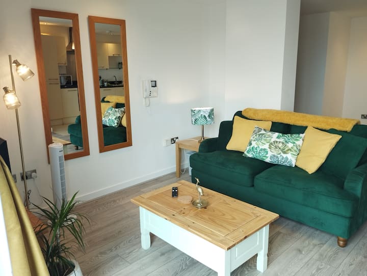 The Green Top Flat With Private Parking Included - Plymouth