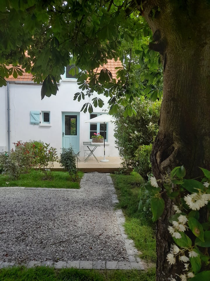 Le Marronnier - Wissant