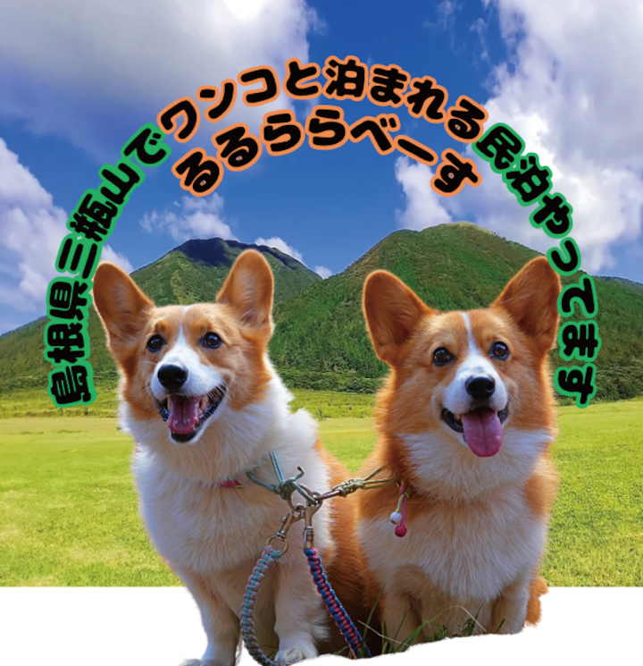 【ワンコと一緒に泊まれる民泊】三瓶山の自然を満喫しましょう!【えるの間】 - Oda