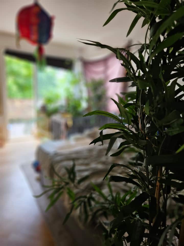 Solhuset - Göteborg