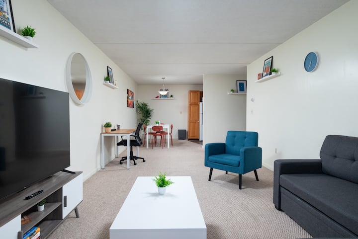 Large 1 Bedroom Home / Free Parking Spot /Location - Boston, MA