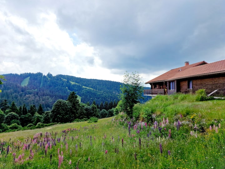 Chalet Dyna, Luxe, Calme Et Vue Exceptionnelle - Gérardmer