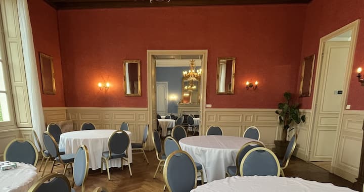 Château Vue Lac De Grand Lieu - Planète Sauvage