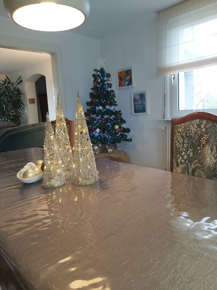 Chez Jeanine Maison Familiale - Erstein