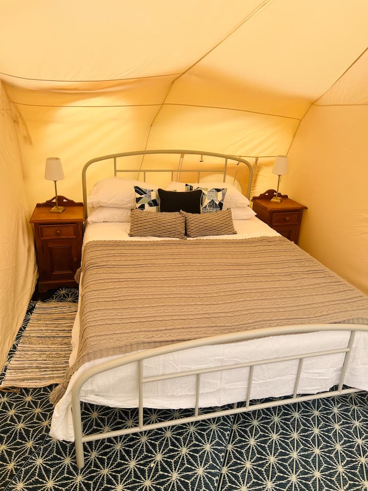 Brilliant Bigalo - Stafford