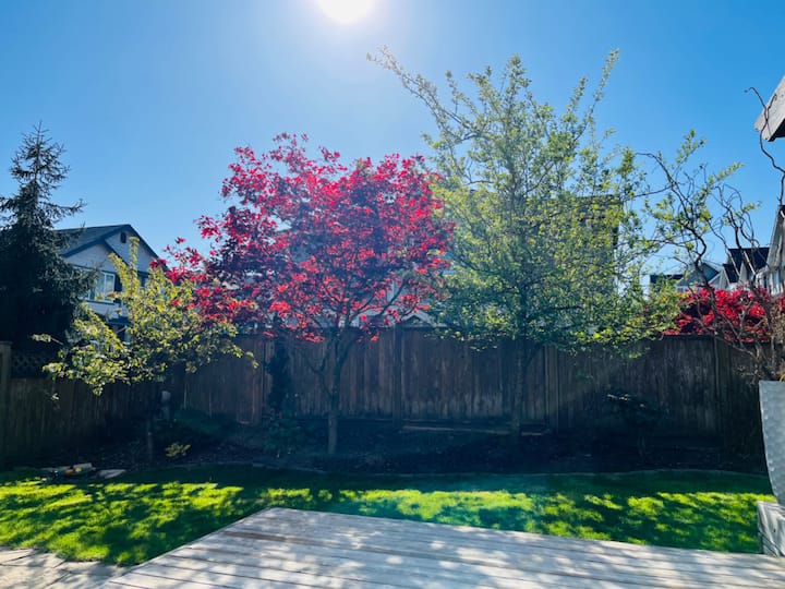 Spacious 3-beds Suit In Langley Willoughby - Langley, BC