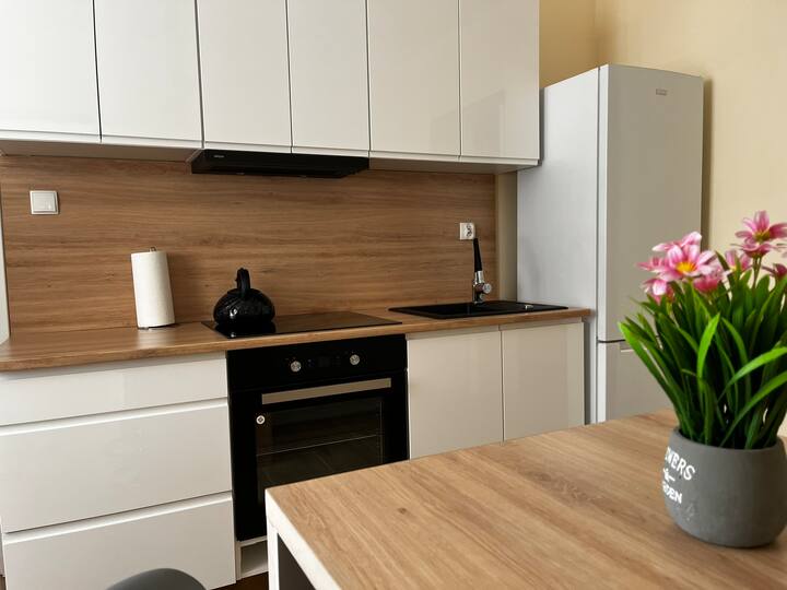 Beskid Rest Apartments No4 - Korbielów