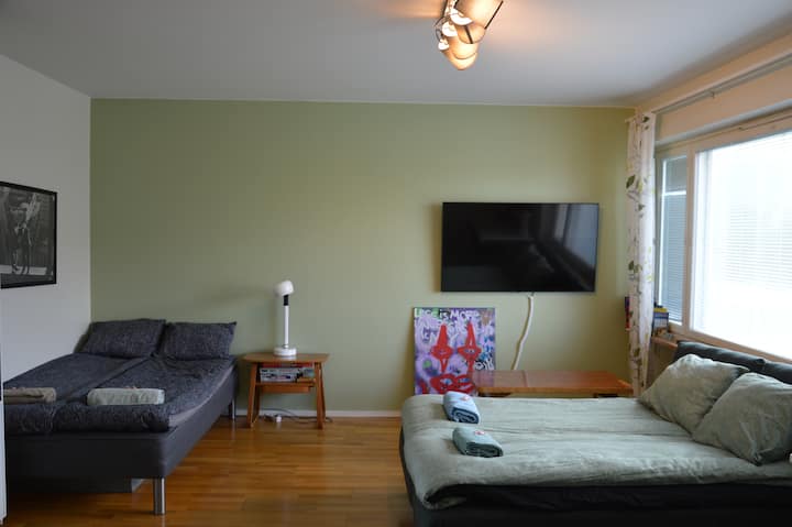 Spacious Newly Renovated Studio - Tampere